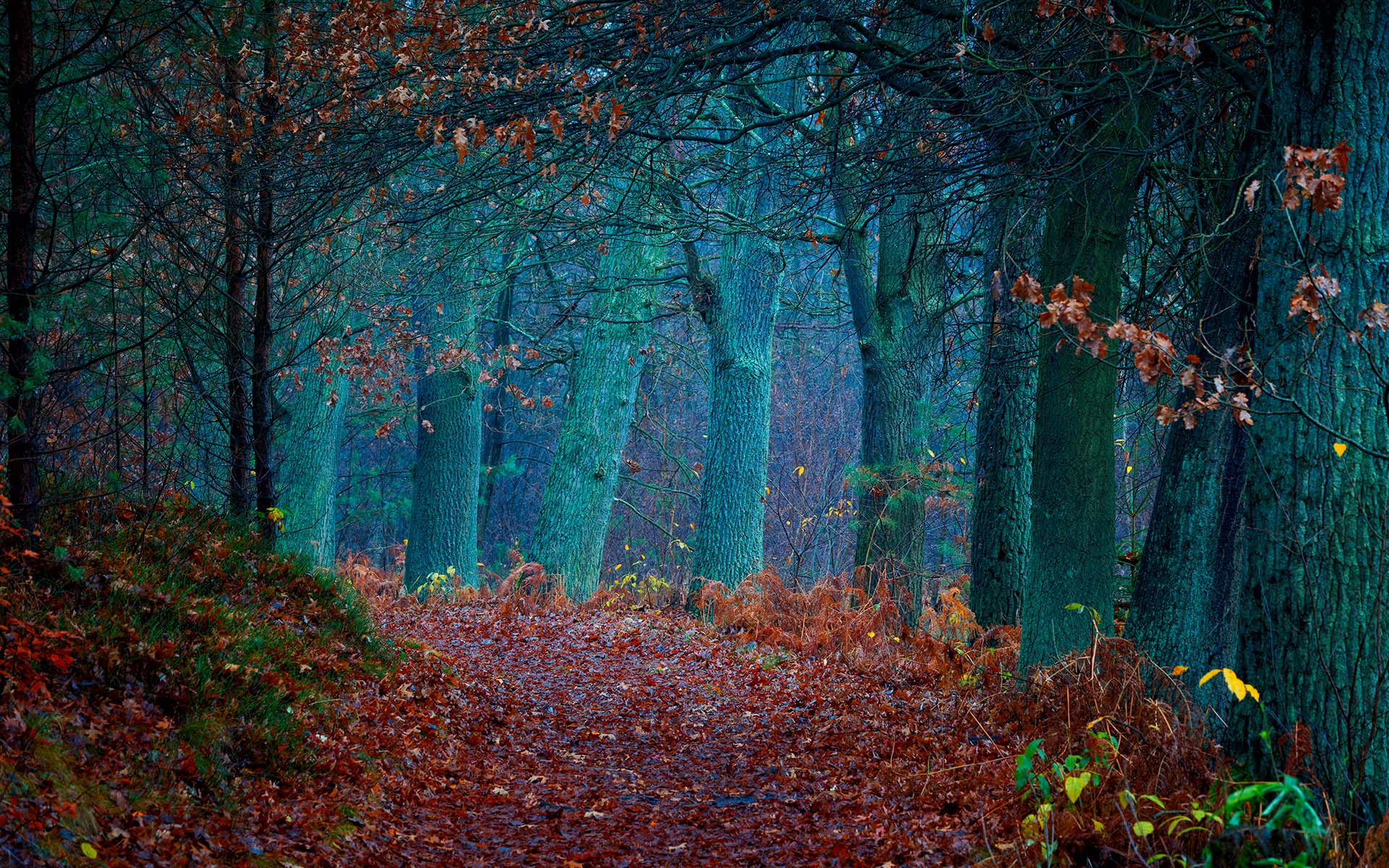 Frank Liebke Fotografie - Märkisches Licht