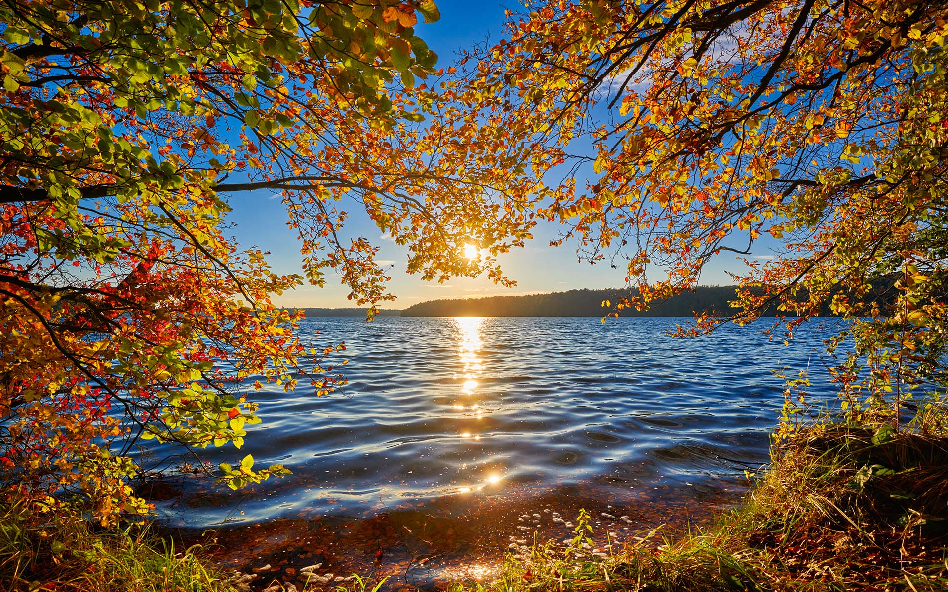 Frank Liebke Fotografie - Märkisches Licht